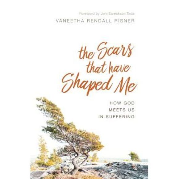 Vaneetha Rendall Risner | Other | The Scars That Have Shaped Me How God ...